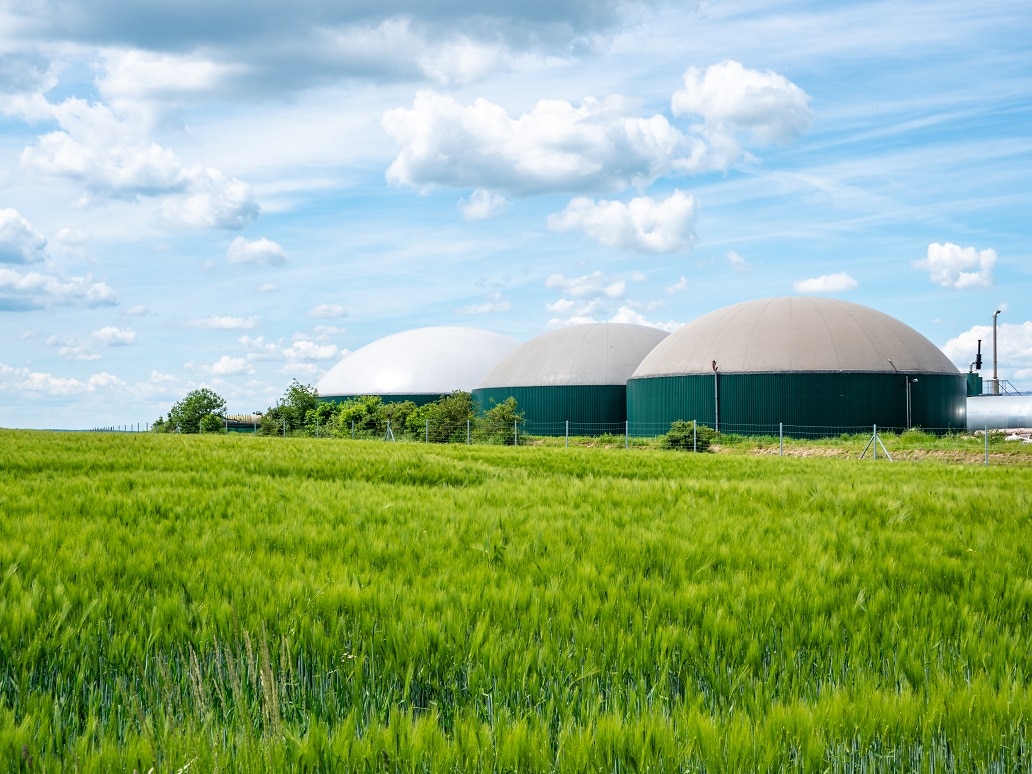 Production de biogaz et de biométhane à partir de déchets d'abattoirs ...